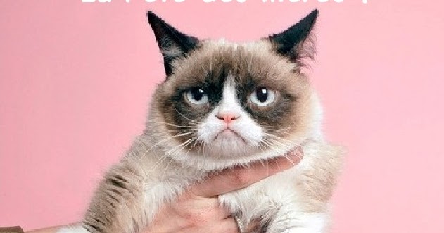 Jack aime/Jack n'aime pas: Les vœux du chat grognon