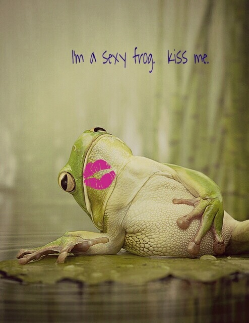 Girl's Got Shine: Kissing frogs