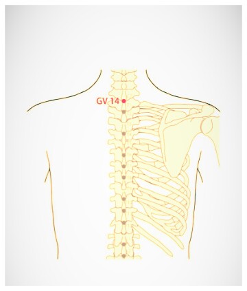 SaroEpic Acupuncture : Acupuncture Points for spinal cord pain