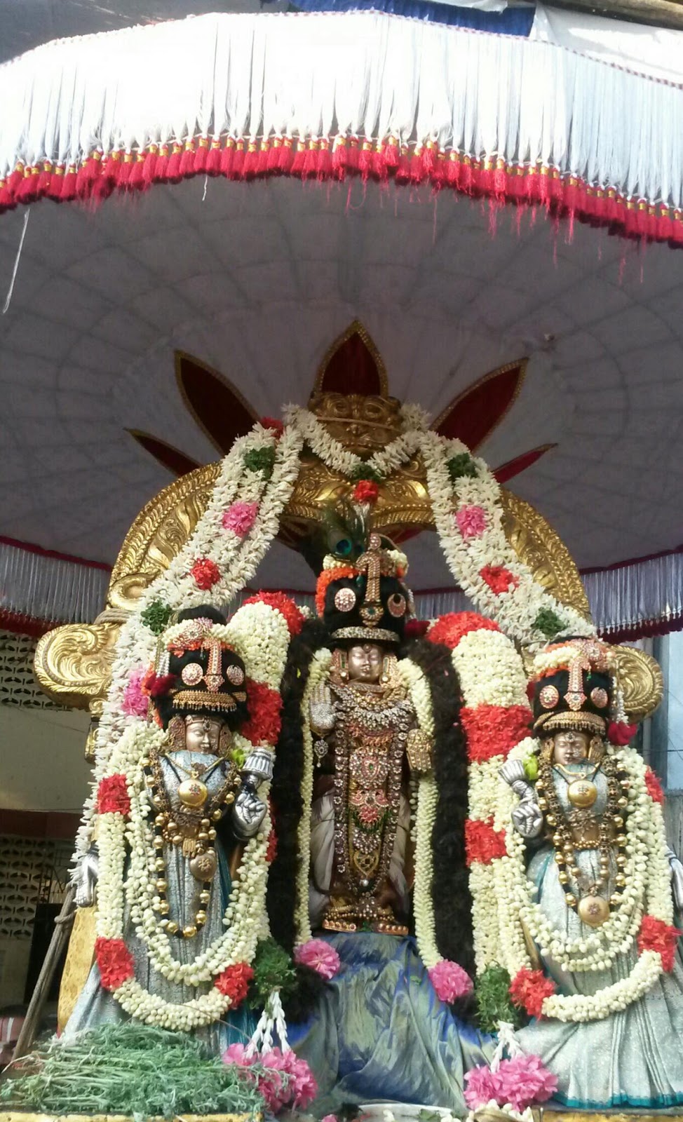 Parthasarathy: Vardhar dhavanam utsavam