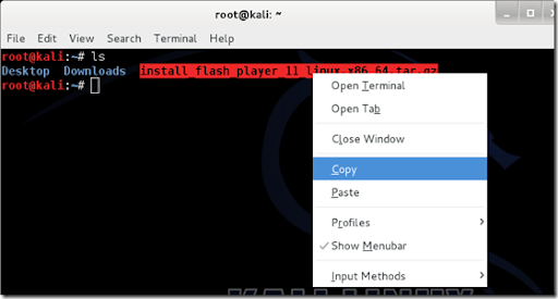 How to install flash in kali linux - neptuncontent
