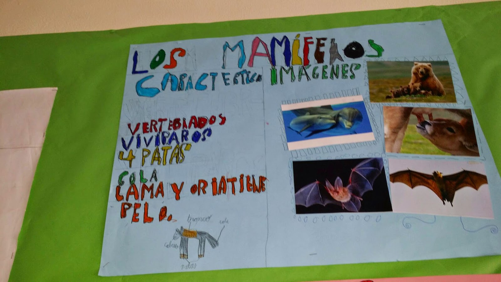 BLOG DE SEGUNDO CEIP LOS ANTOLINOS.: Mural:"Los animales".