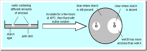 Biochemical Techniques: Types, Basic methods Notes