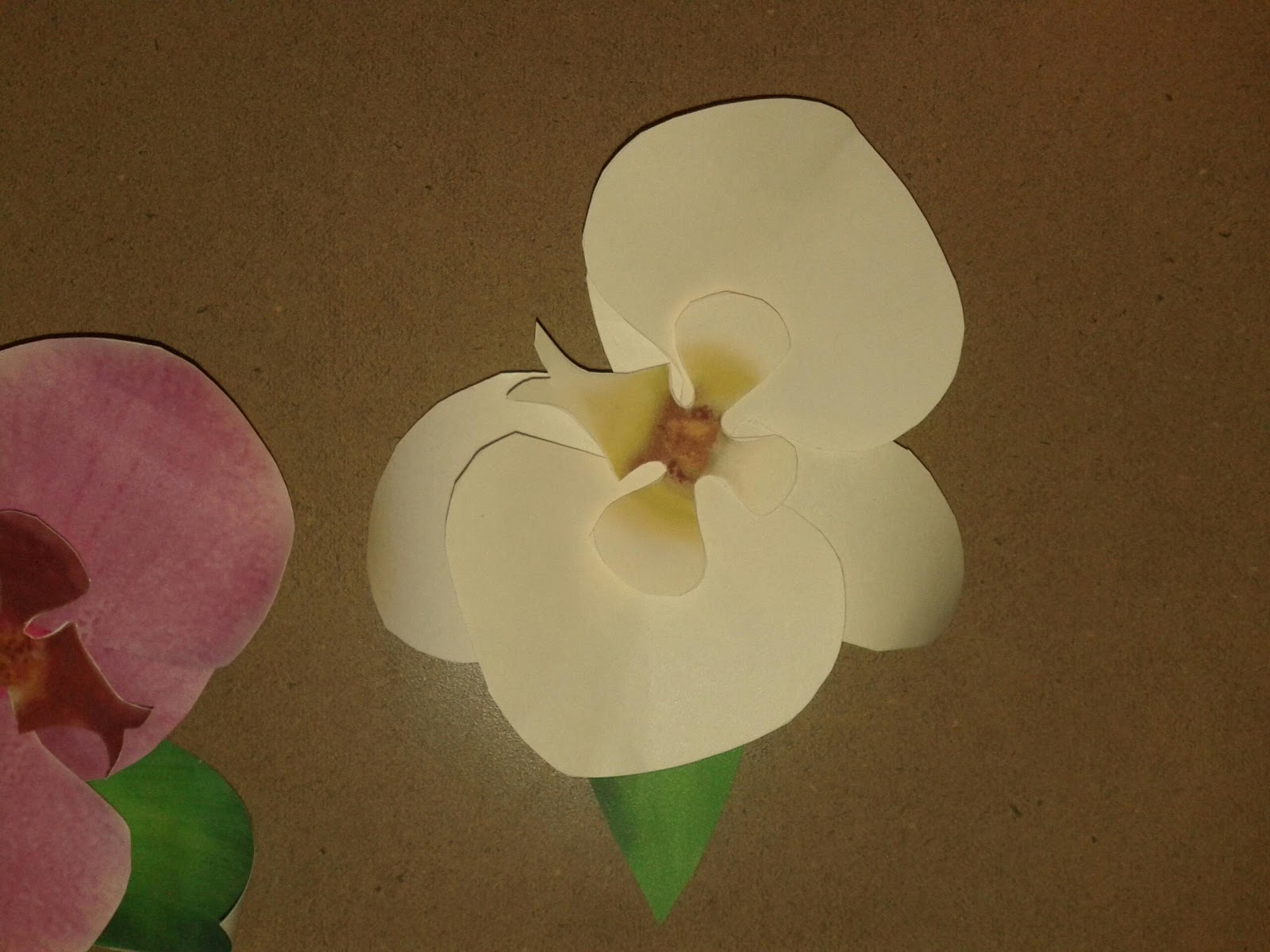 Activity Director : Paper Orchid