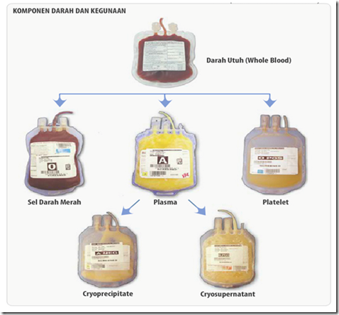 KOLEKSI TUGASAN: KOMPONEN DARAH