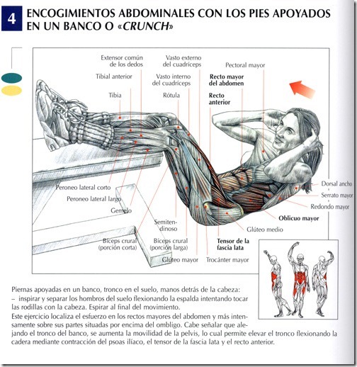 Musculación: Encogimientos abdominales con los pies apoyados en un ...