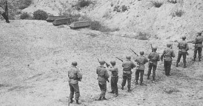 Neues Europa: Werwolf