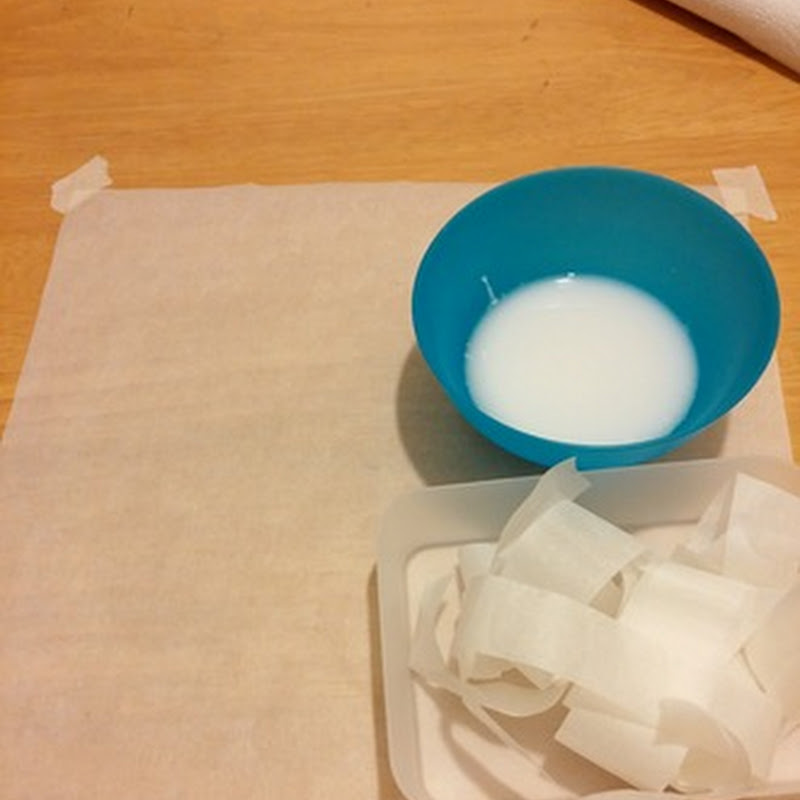 Ancient Egypt Study: How to Make a Papyrus | The Pinay Homeschooler