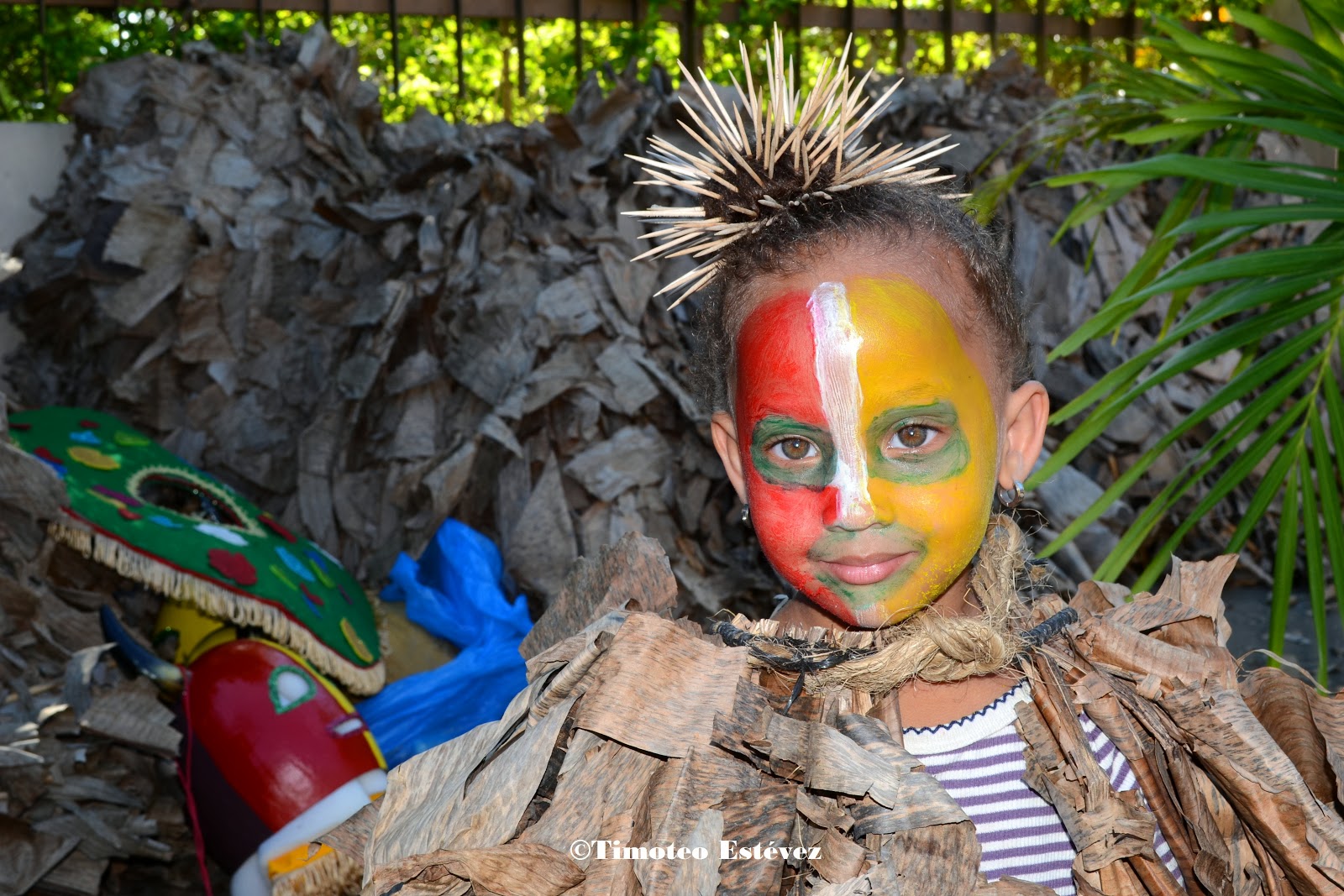 febrero 2014 | Con mi Nokia en la mano.