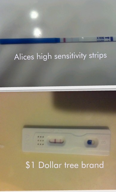 My world: Dollar tree pregnancy test