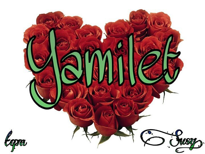 DILO CON FLORES Y TARJETAS: Yamilet