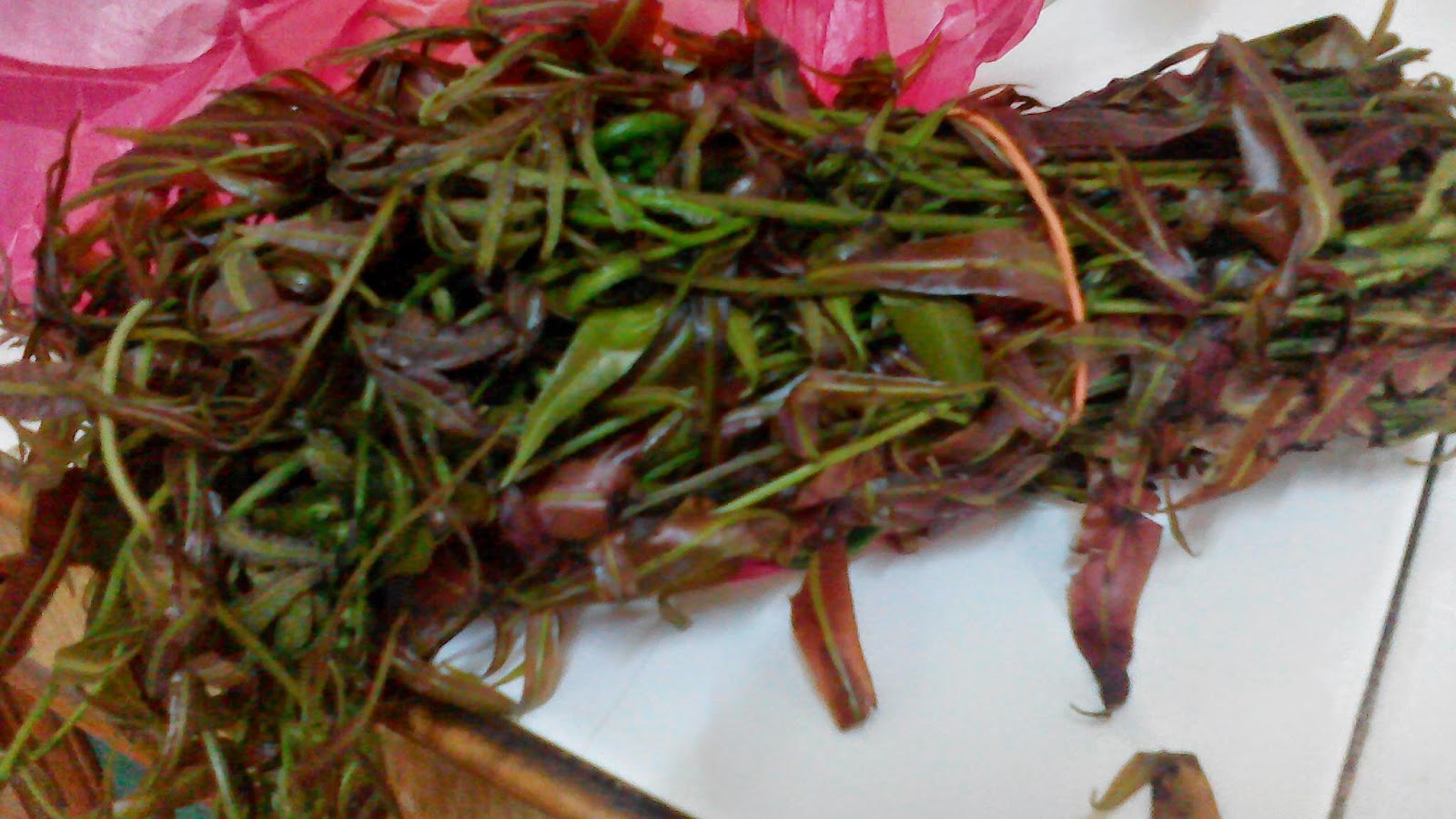 CHE MID: Tumis Pakis Merah campur Nenas