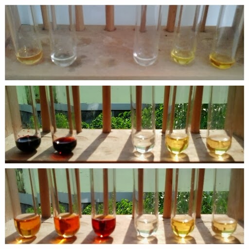 Membedakan ion Fe(II) dari ion Fe(III) ; Membandingkan Daya ...