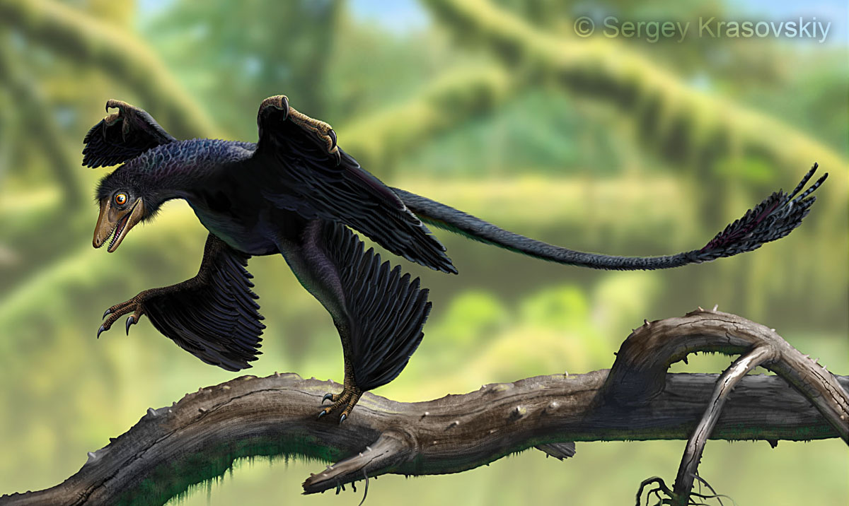 Were there feathered 4-legged dinosaurs? : r/askscience