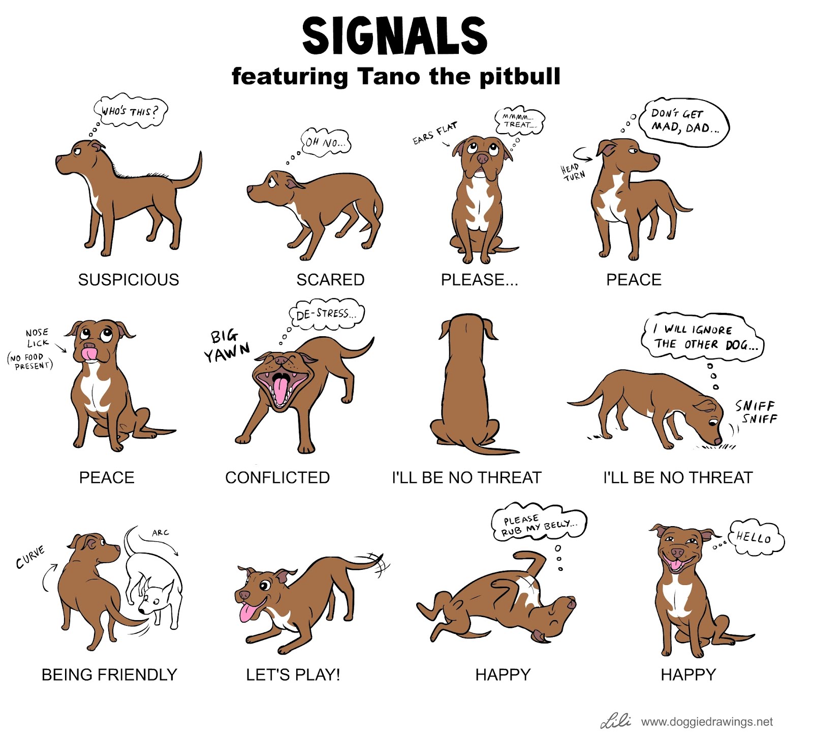 Top Dog Blog Doggie Language