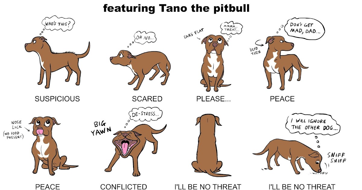 Top Dog Blog!: Doggie Language