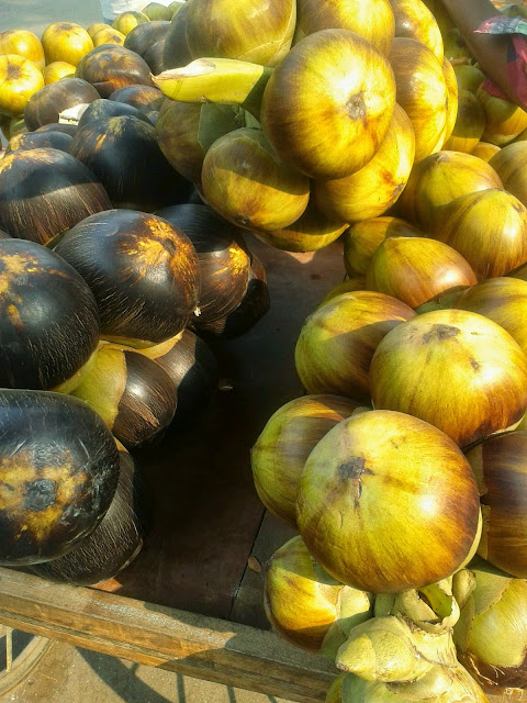 Tad Gola Palm tree fruit - Picture Library
