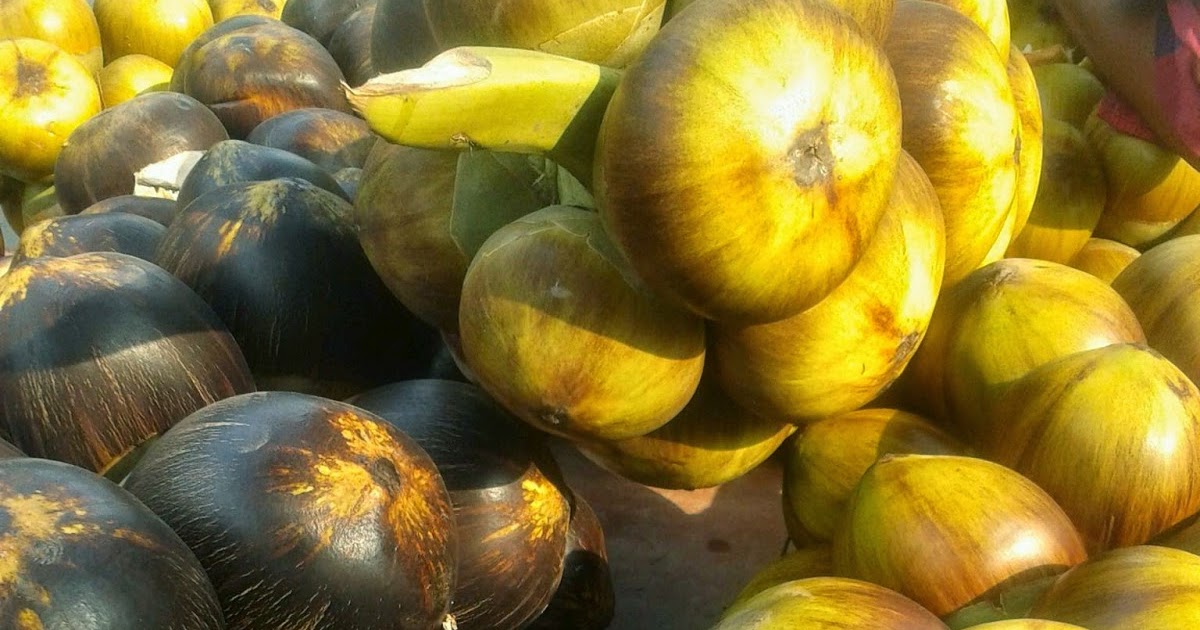 Tad Gola Palm tree fruit - Picture Library