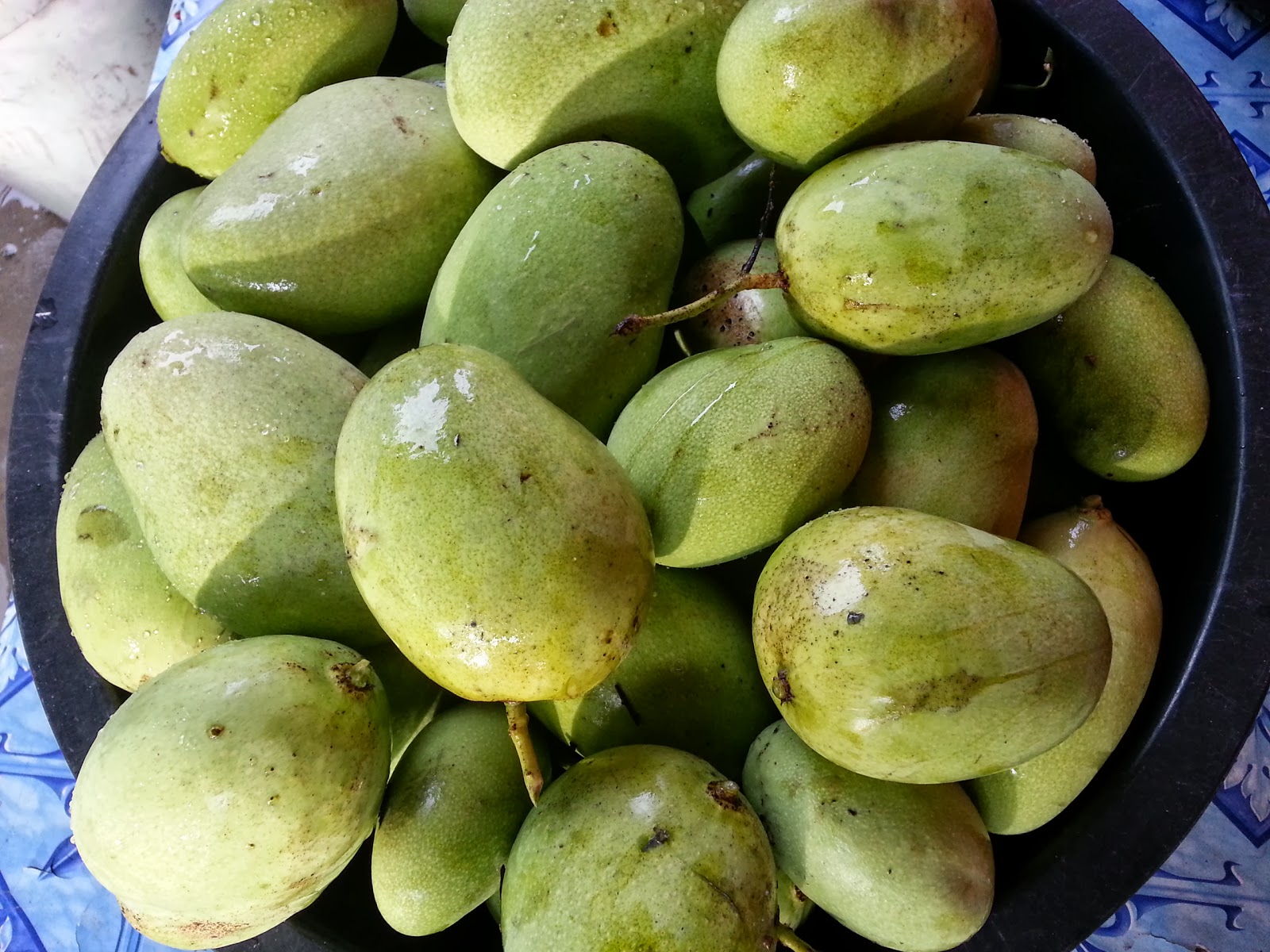 NUR QASEH: JERUK MANGGA ( PELAM )