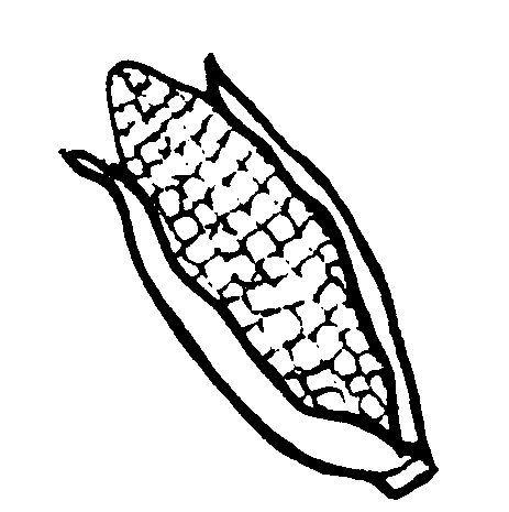 CORN COLORING PAGES