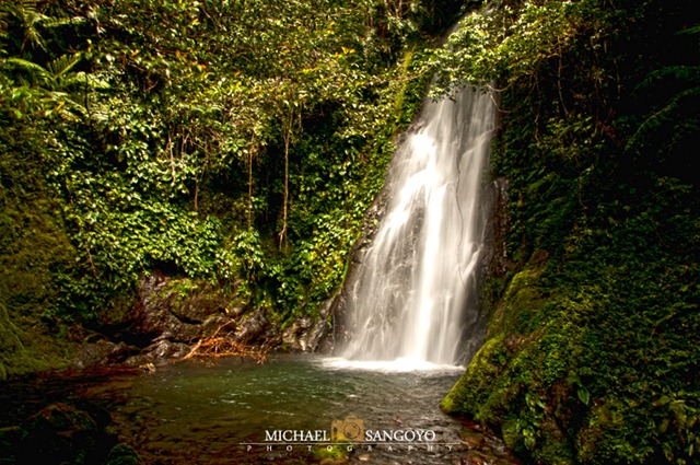 Michael Lucas Sangoyo Photography: Camarines sur: Mt. Isarog National ...