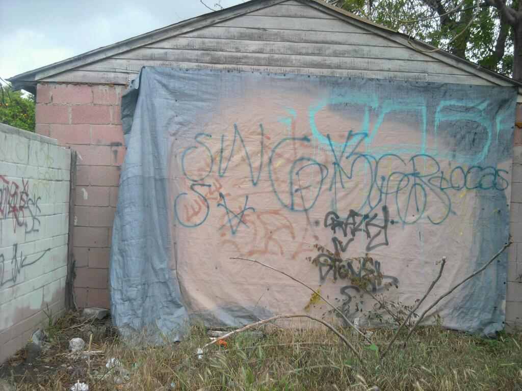 sureno 13 gangs graffiti: Watts varrio grape street 13