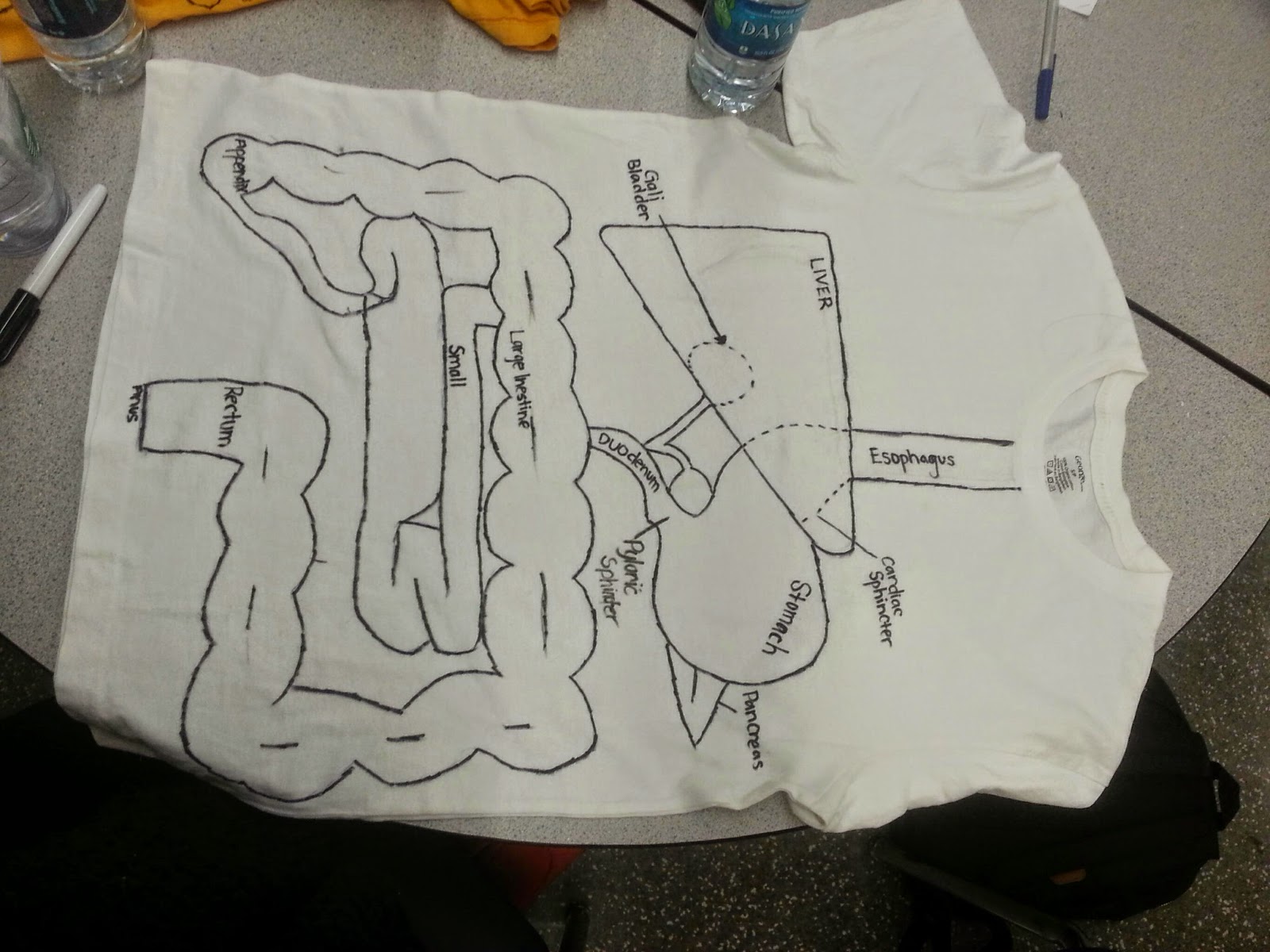 Shimmi's Biology Blogs: Digestive System T-Shirt