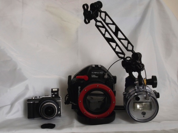 Steven Mark Brown Thoughts