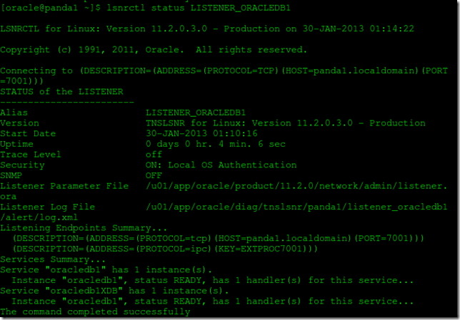 Use Netca To Configure Oracle Listener Sql Panda