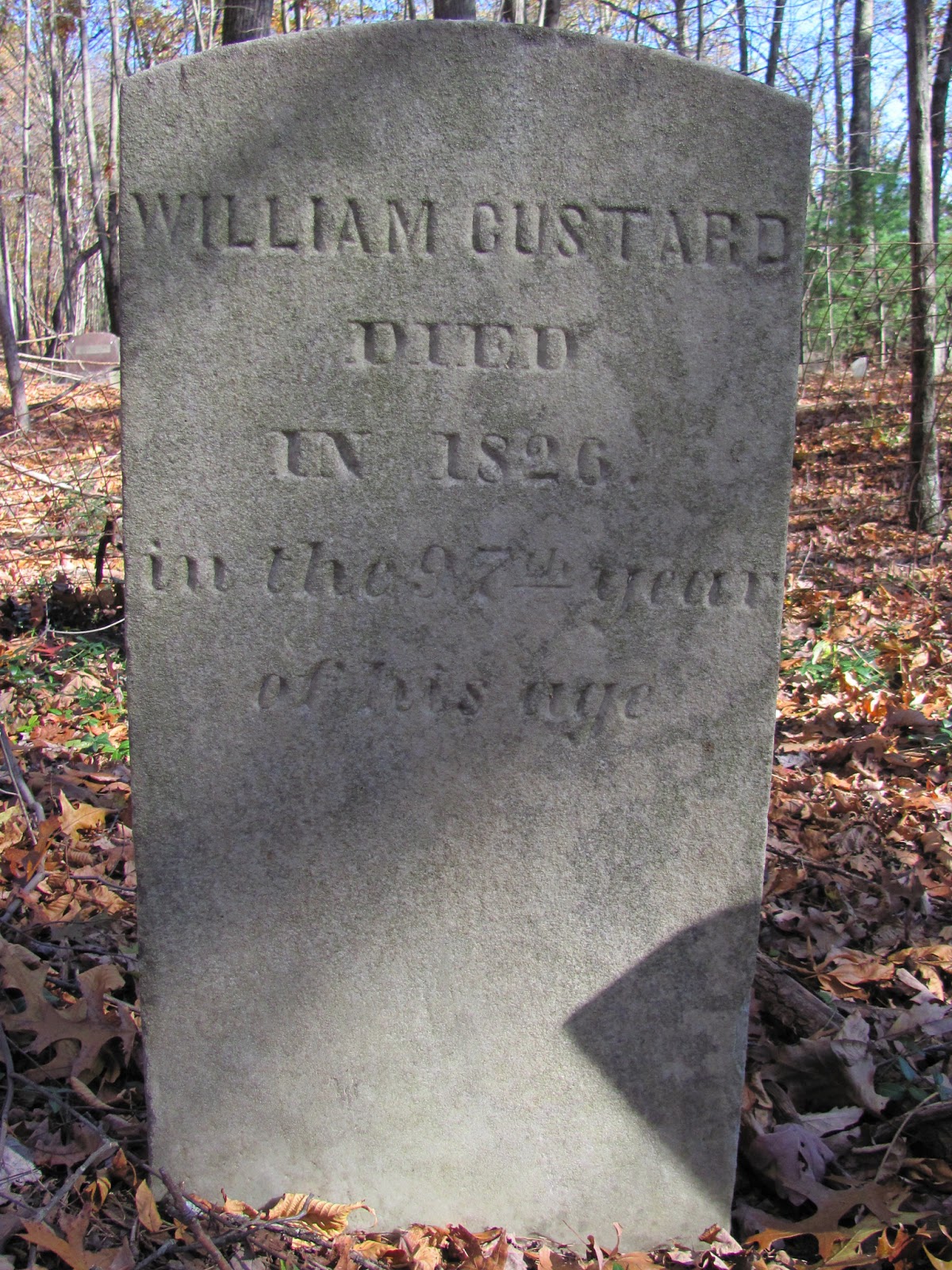 Minisink Valley Genealogy: Tombstone Errors: William Custard, Egypt ...