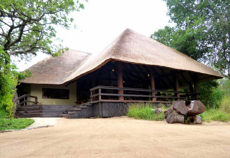 Sabi Sabi Lodges - Bush Lodge und Little Bush Camp | Outback Africa ...