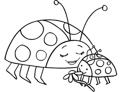 Dibujos de catarinas infantiles - Imagui