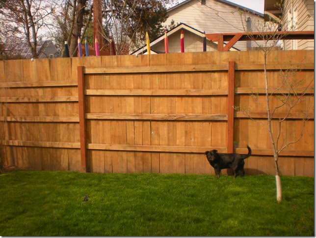 The Adventures of Pam & Frank: Pencil Fence