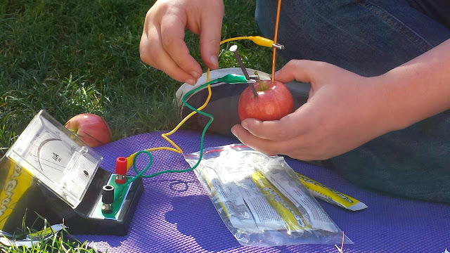 Martinez Community Science Workshop: Apple battery