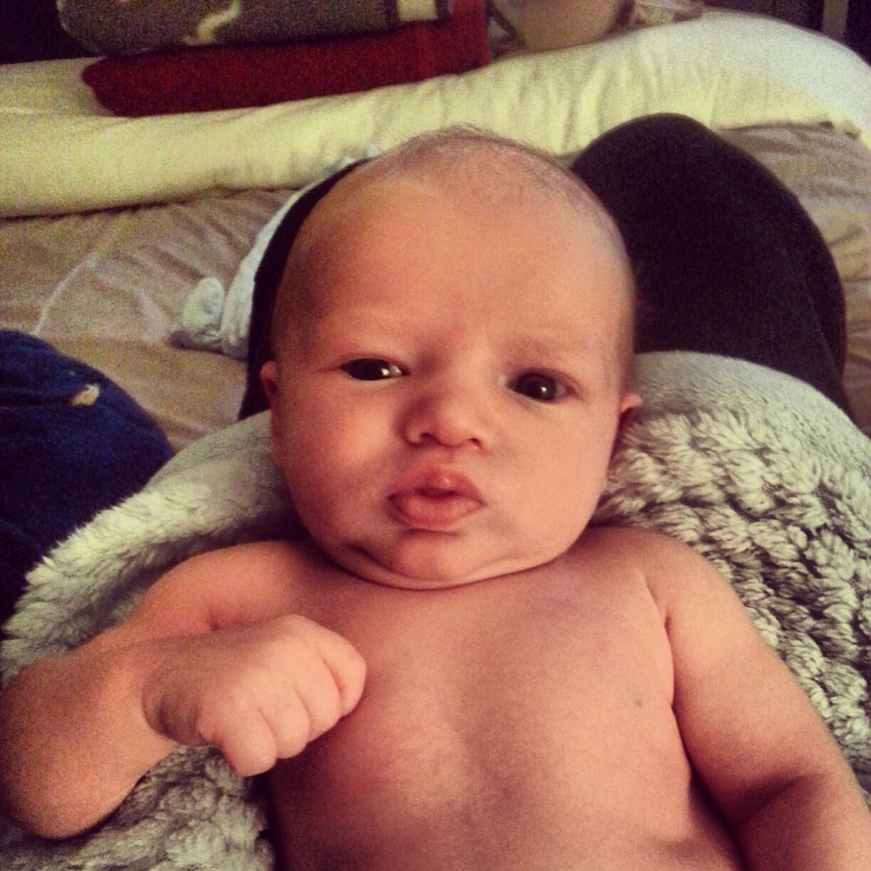 The Huston s My Little Boy the-huston-s-my-little-boy
