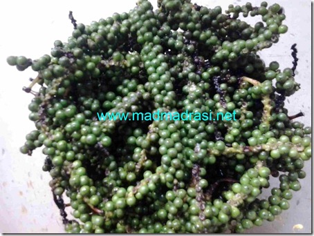 Pickle that green Peppercorn