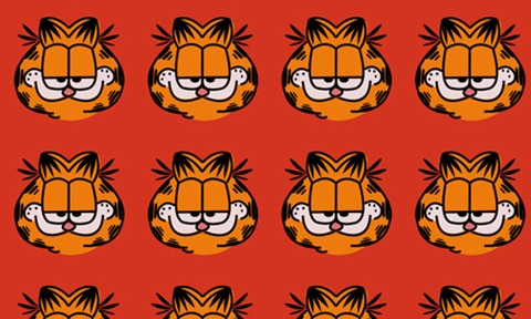 Caras de garfield - Imagui