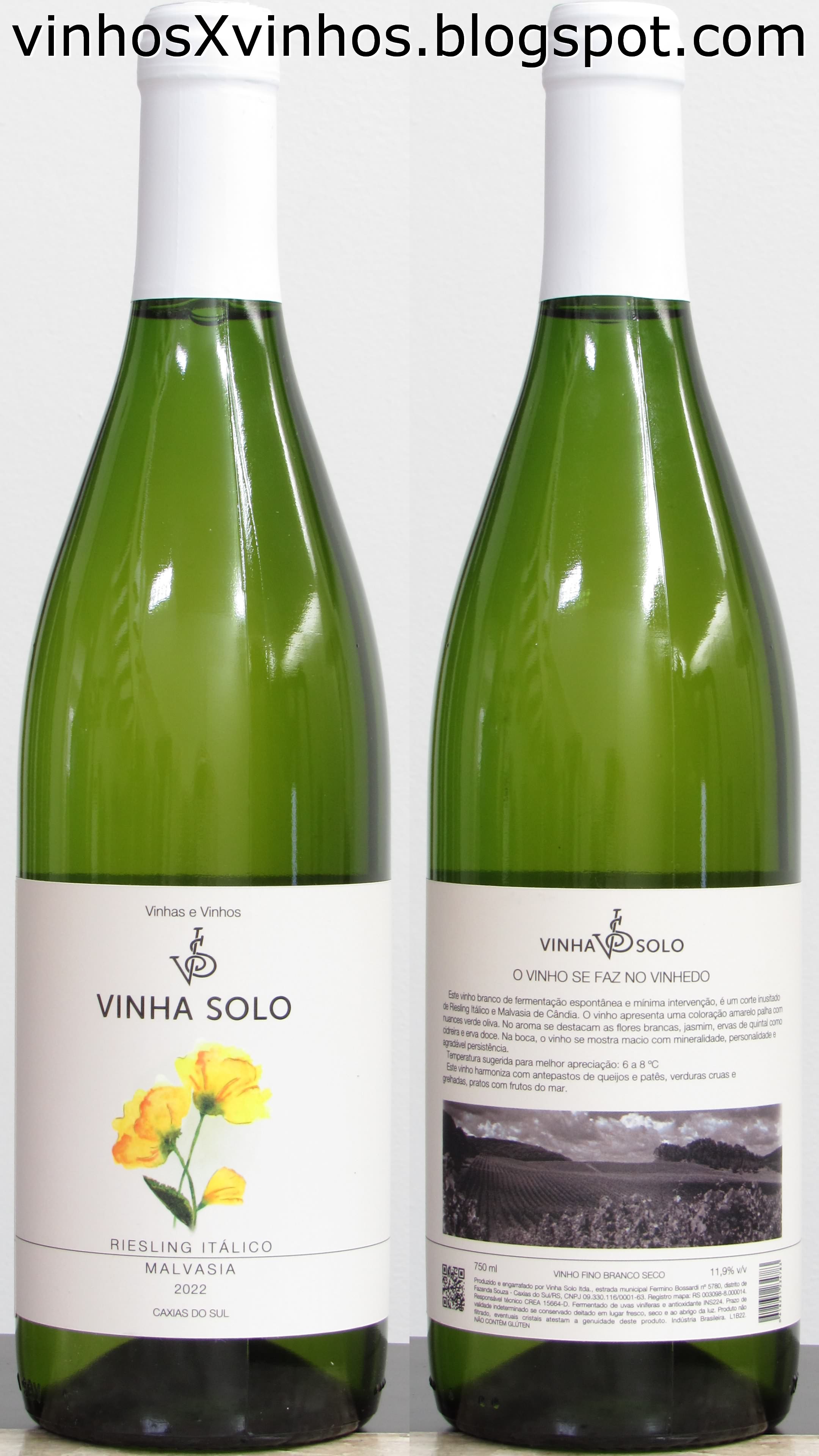 Vinhos x Vinhos: Vinha Solo Branco