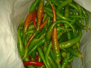 Guindillas en vinagre