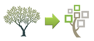 The Ancestry Insider: FamilySearch Migrates New FamilySearch Sources