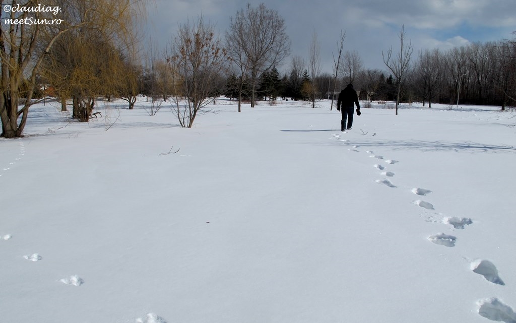 Iarna în Montreal, o iarnă cu toane | meetSun.ro