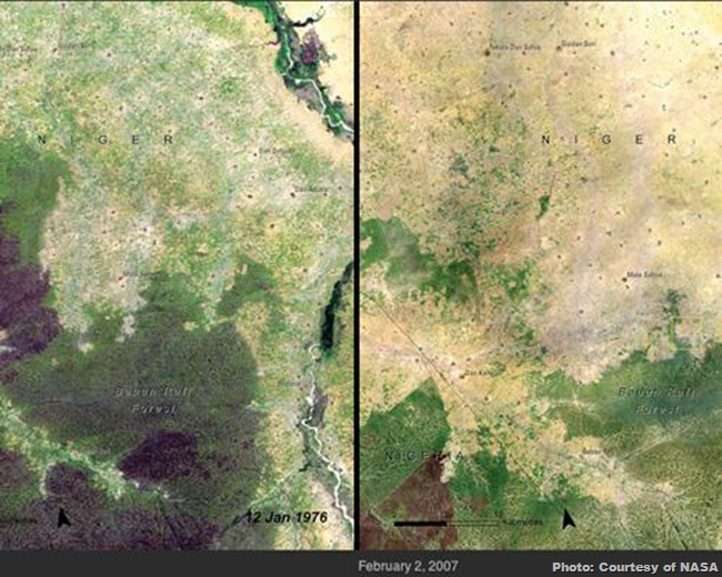 Alizul: 7 STRIKING EXAMPLES OF OUR PLANET'S DEFORESTATION AS SEEN FROM ...