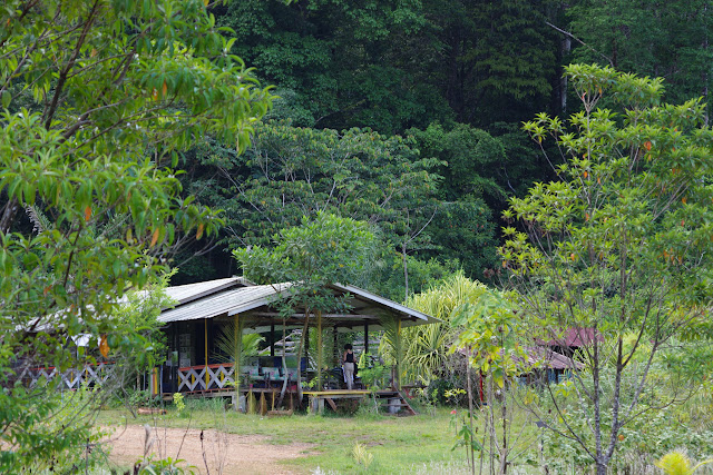 Les voyages ALF 2013