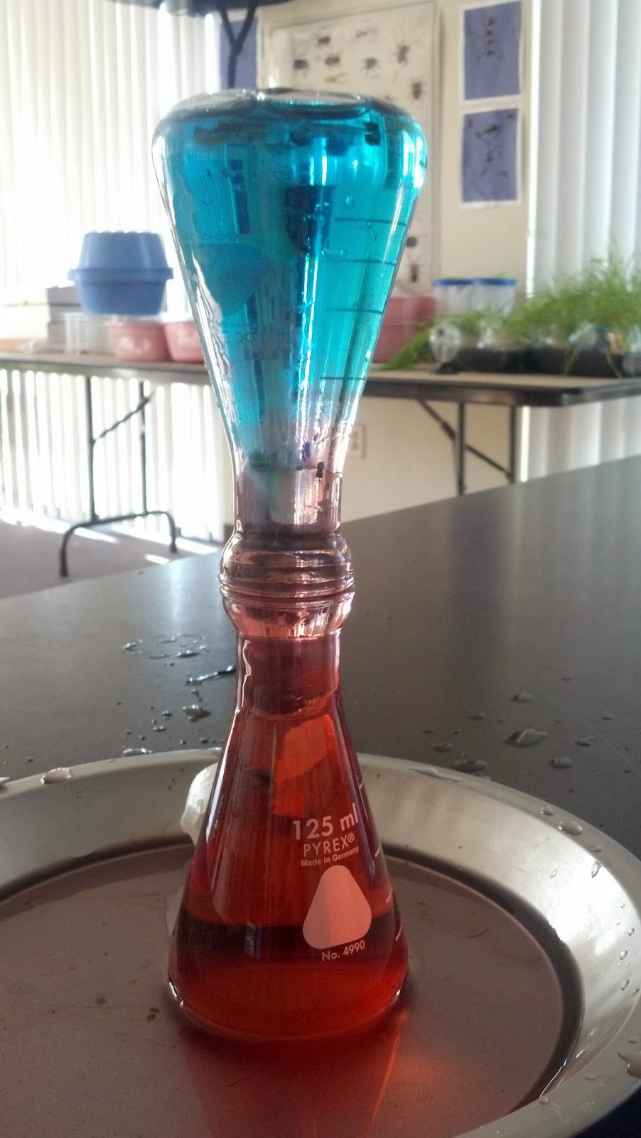Science Rocks: Yates 2013-15: Air Masses Lab...Take 2!