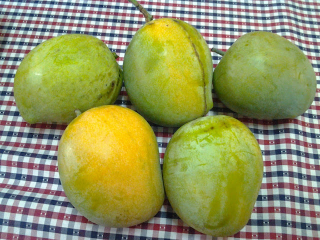 Aisyah Az-zahra: Jom makan buah pelam