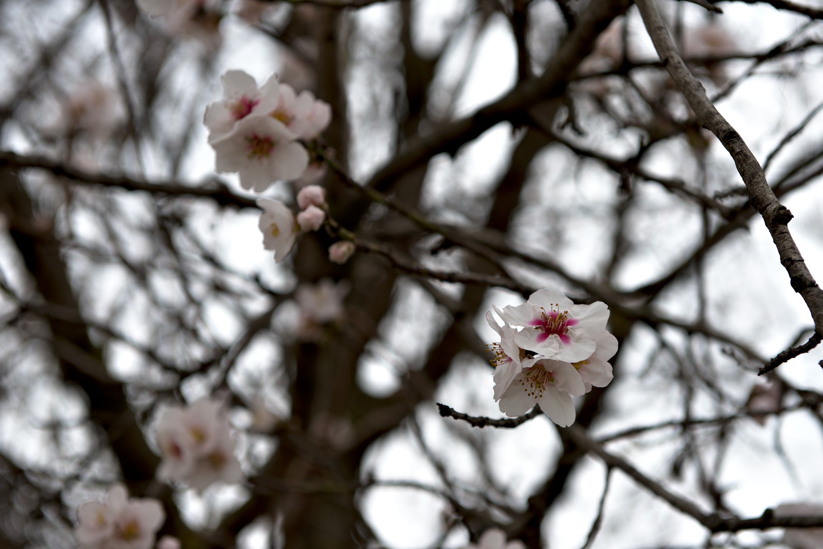 Drumul alb si scurtatura spre Nesebar – Life, Adventures and Bikes.