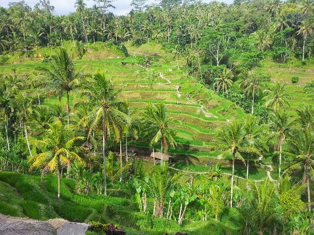 Indonesien: 11 Bali; Kalibukbuk