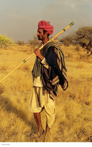 Maldhari - JungleKey.in Image