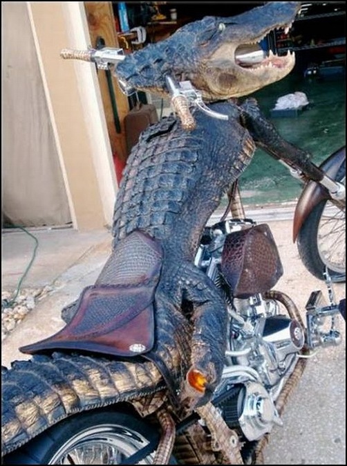Alligator Motorcycle ~ MegaMachine
