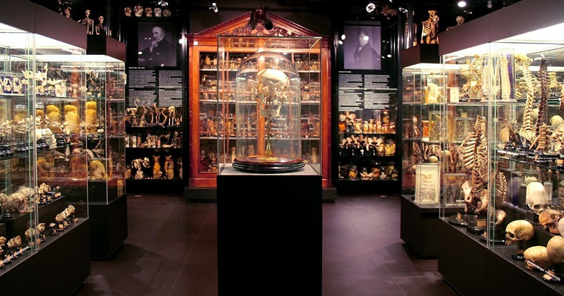 7 Strange Museums in Amsterdam | Amusing Planet